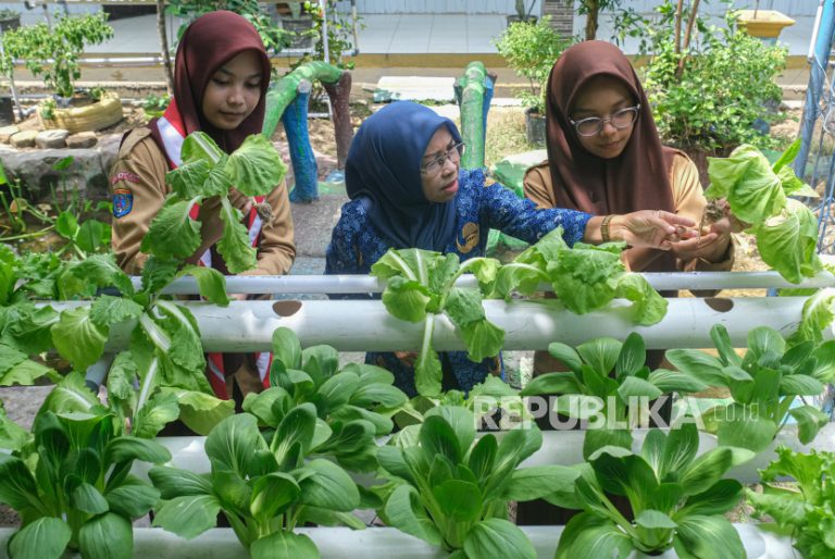 Sekolah Smart Farming: Hidroponik dan IoT untuk Anak Muda - Seputar ...